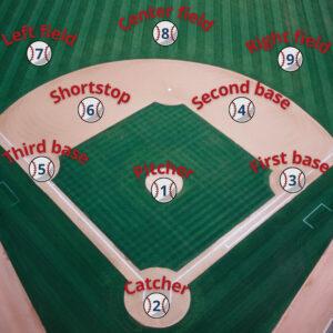 The 9 baseball positions (with numbers) and their roles
